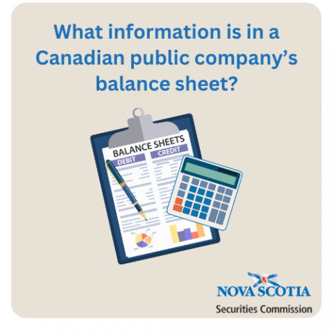 What information is in a Canadian public company’s balance sheet ...